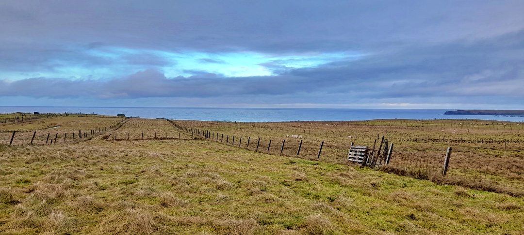 Croft Tenancy at 8 Cross, Ness - Derek Mackenzie Solicitors & Estate Agent